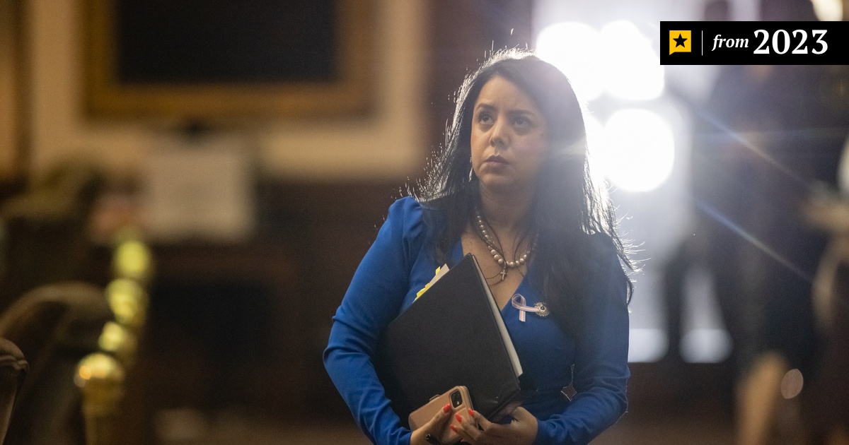 Victoria Neave Criado files to challenge Nathan Johnson for Senate seat ...