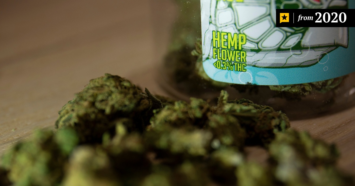 Hemp or marijuana? How a new Texas law changed everything. | The Texas ...