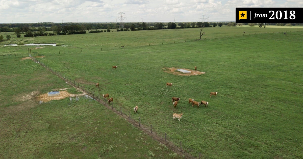 How does the government use eminent domain to seize land from Texans ...