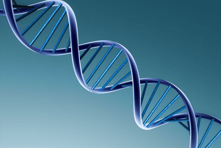 New Protocol Leads to Reviews of "Mixed DNA" Evidence | The Texas Tribune