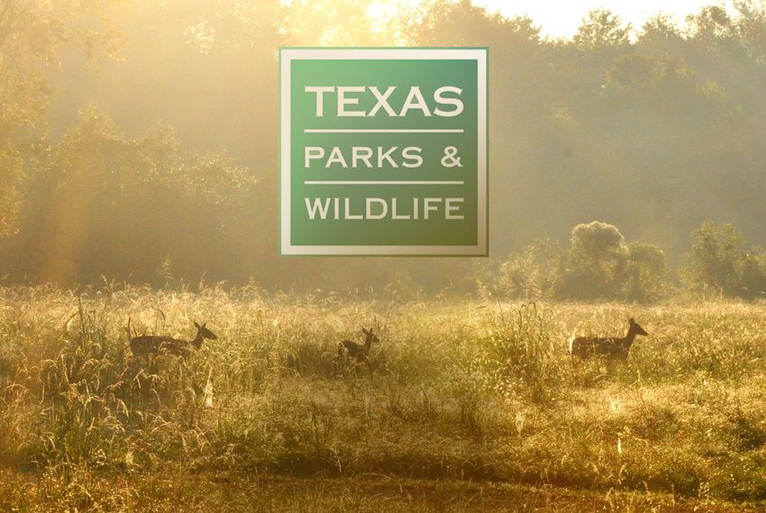 Texas Parks and Wildlife Department Looks to Rebound | The Texas Tribune