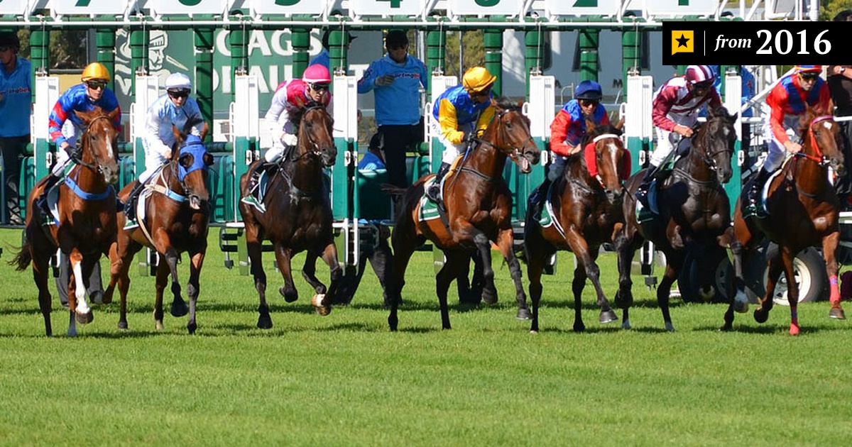 Texas Racing Commission Nixes Historical Racing | The Texas Tribune