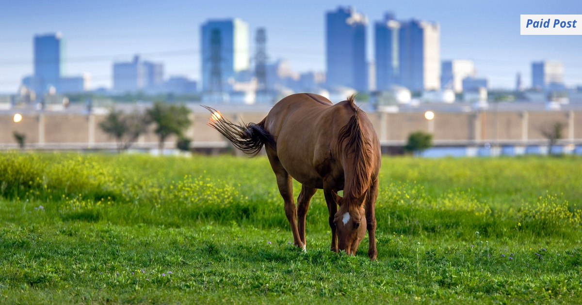 PAID POST: Cultivating freedom: Texans must vote to strengthen the ...