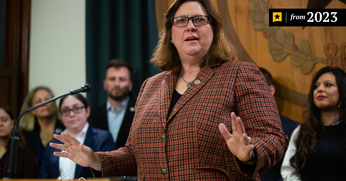 State Rep. Julie Johnson running for U.S. Rep. Colin Allred’s seat ...