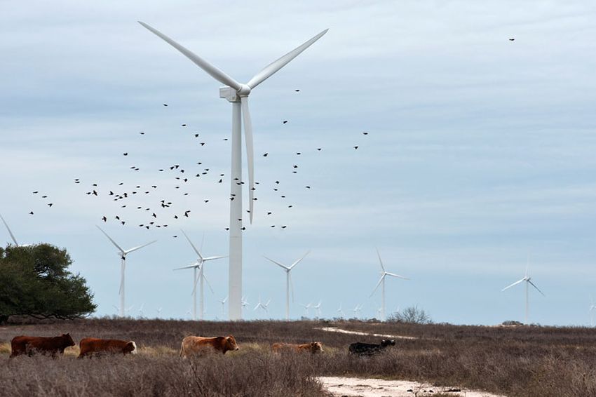 Texas Wind Power Grows Along the Gulf Coast | The Texas Tribune