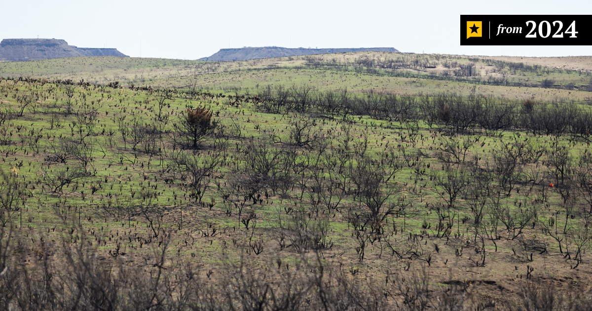 Texans are preparing for the state’s next big wildfire | The Texas Tribune