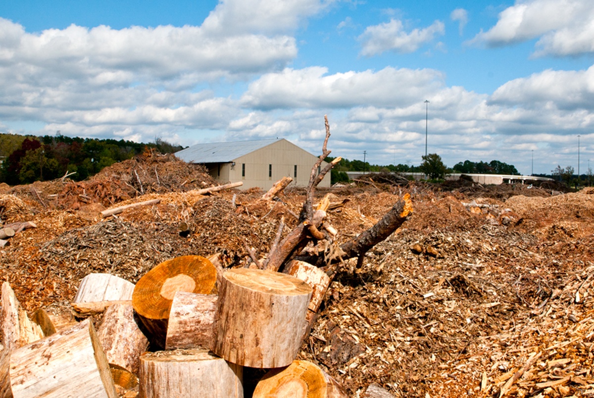 Biomass Power Plants Rise in East Texas | The Texas Tribune