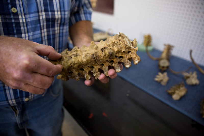 Slideshow: Scenes From Texas State's Body Farm | The Texas Tribune