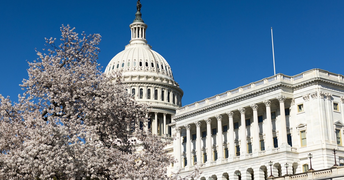 Meet the new Texans in Congress | The Texas Tribune