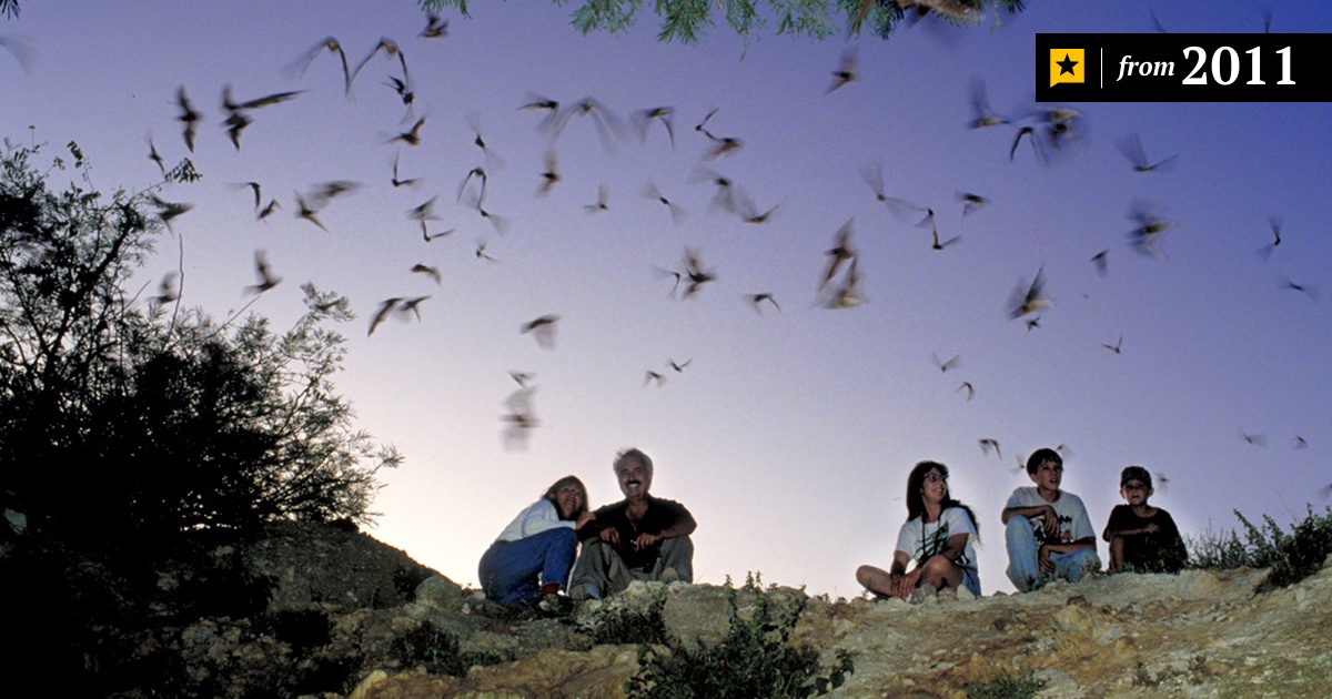 Day 26: Days, Services at Texas State Parks Cut Back | The Texas Tribune